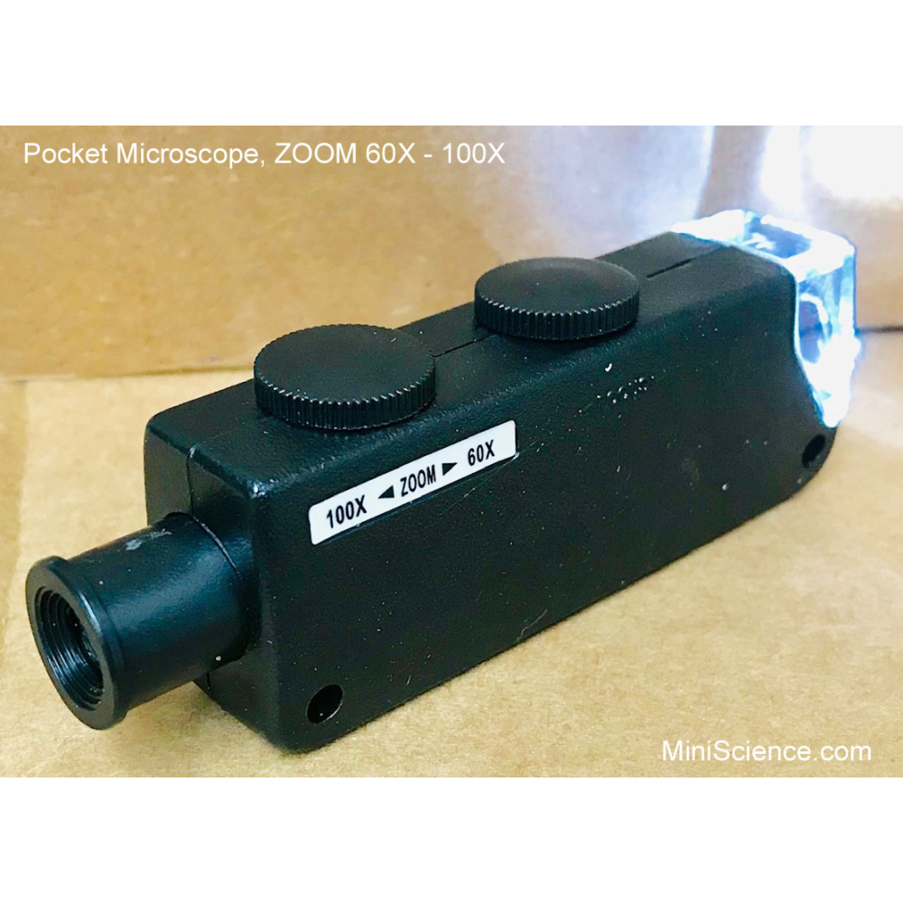 Illuminated Zoom Microscope