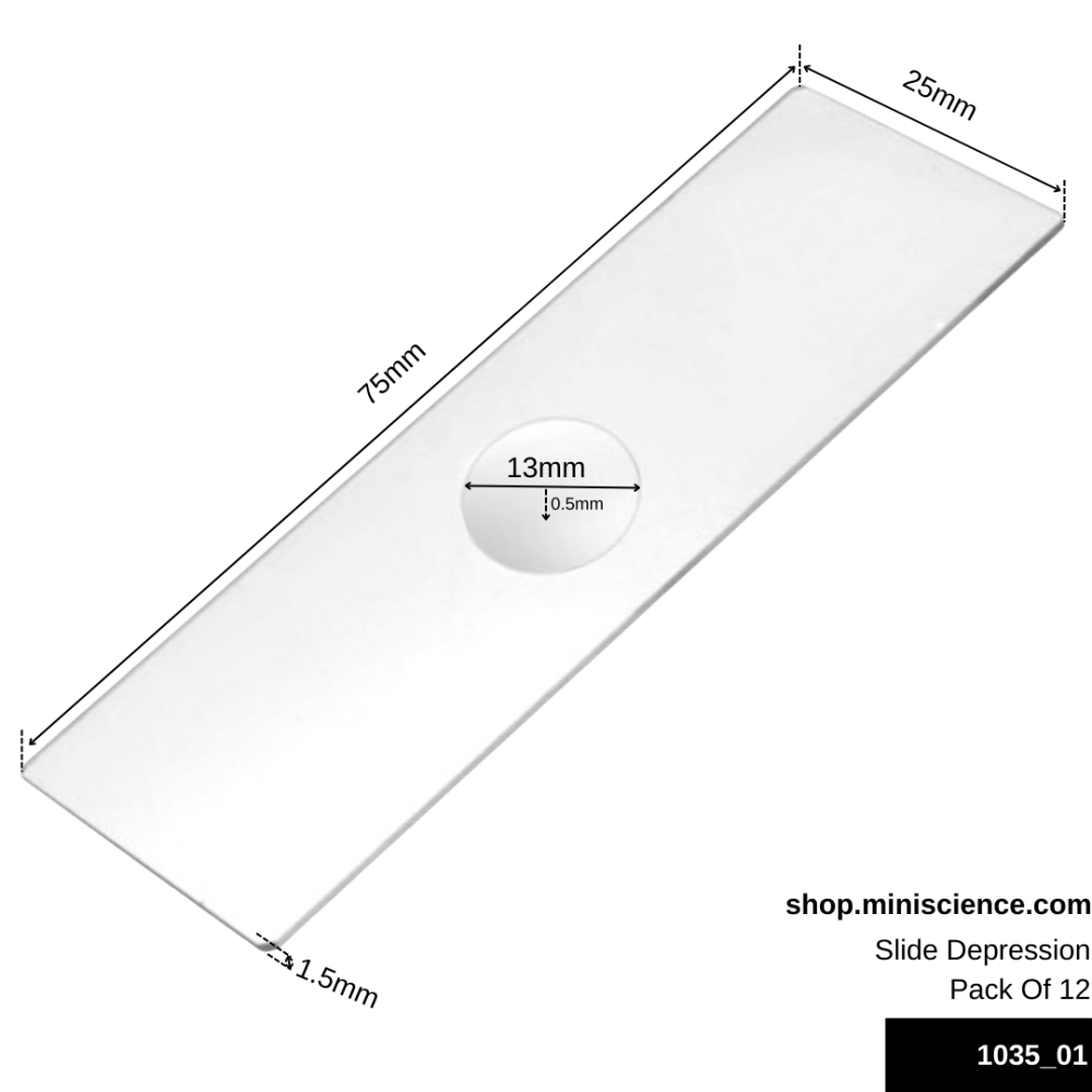 Slide Depression, Pack Of 12